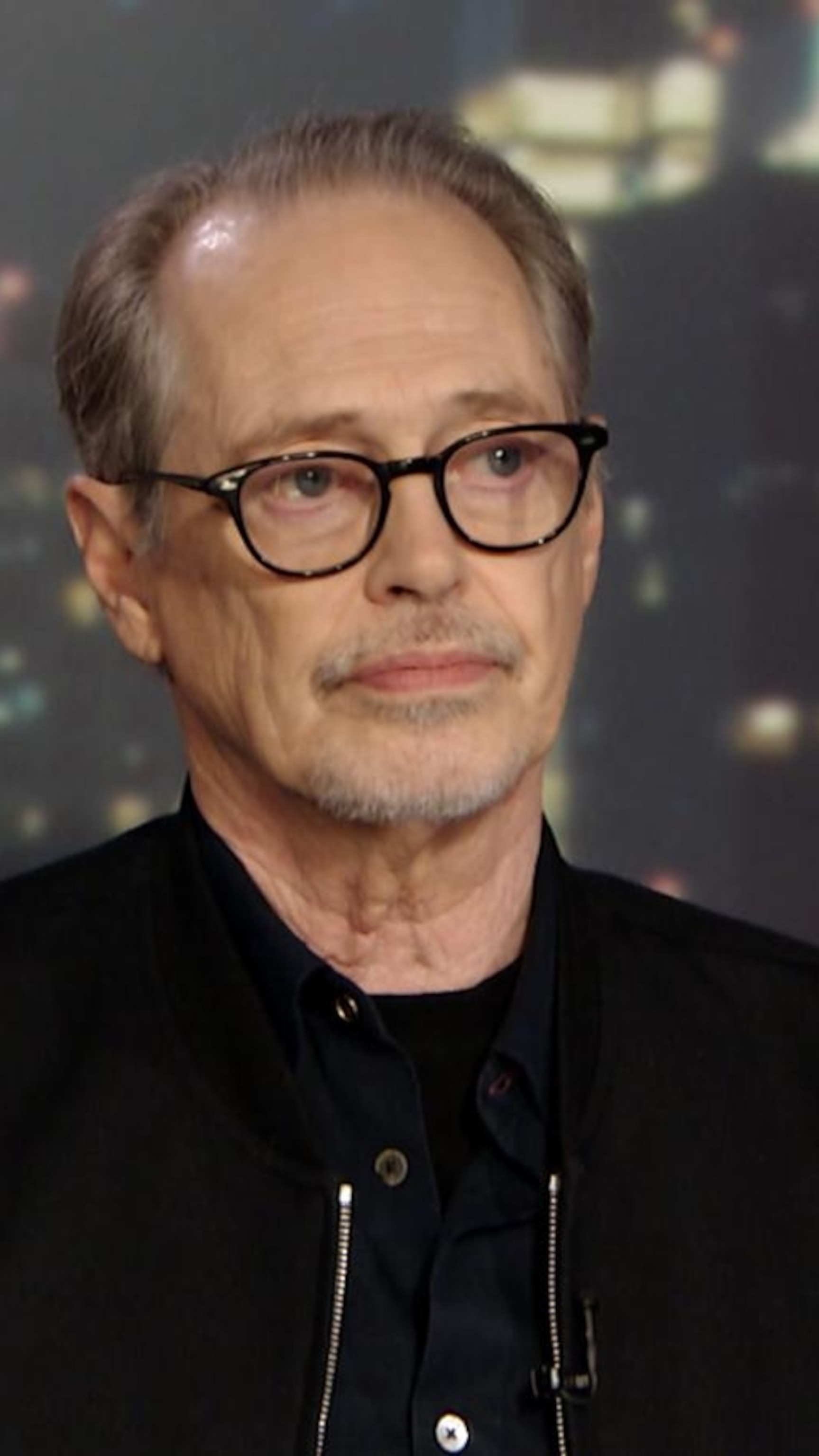Visages De Steve Buscemi
