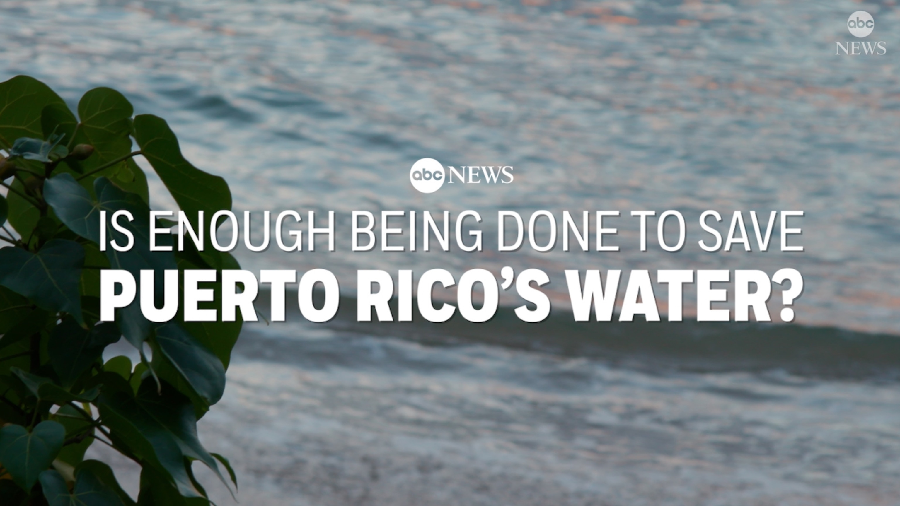 Puerto Rican Problems Quotes