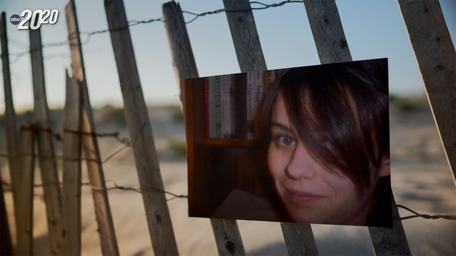 Maureen Brainard Barnes