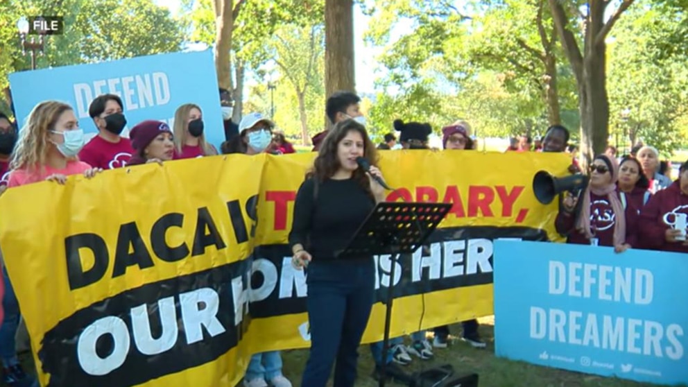 Video Federal government expected to start accepting new DACA ...