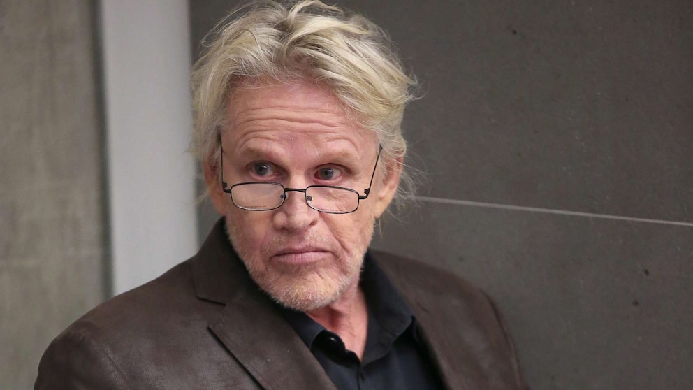 Gary Busey Charged With Sex Offenses Over Incidents At Horror Convention Police Abc News