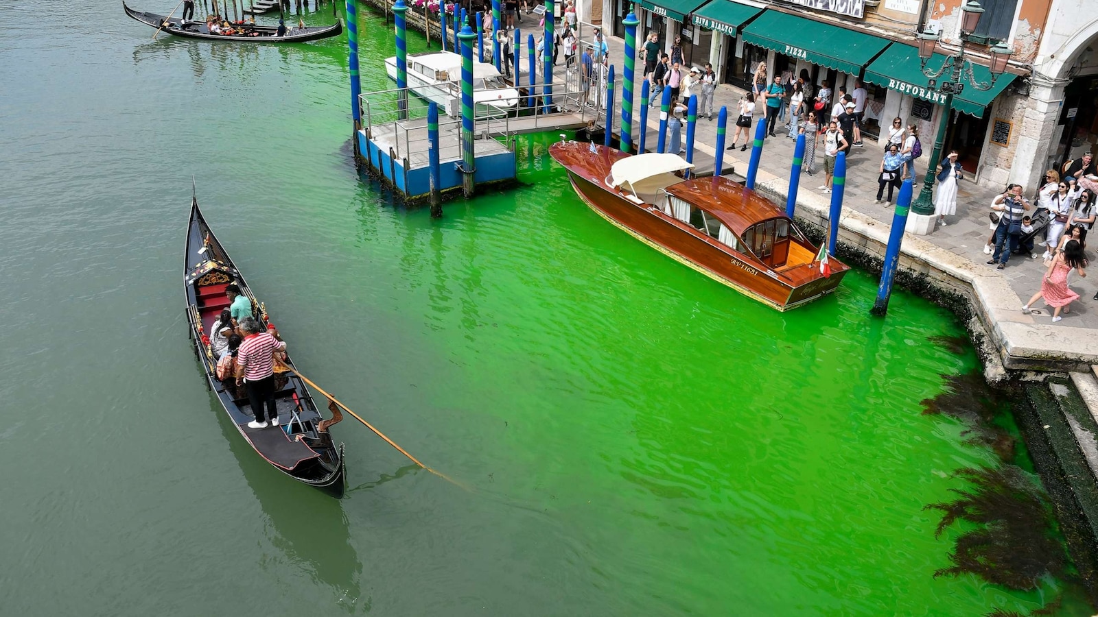 Mystery behind bright green water in Venice Canal solved, officials say ...