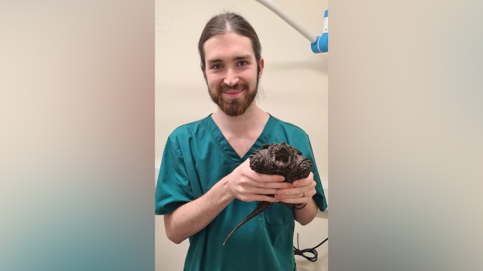 'Dinosaur-like' snapping alligator turtle mysteriously discovered in ...