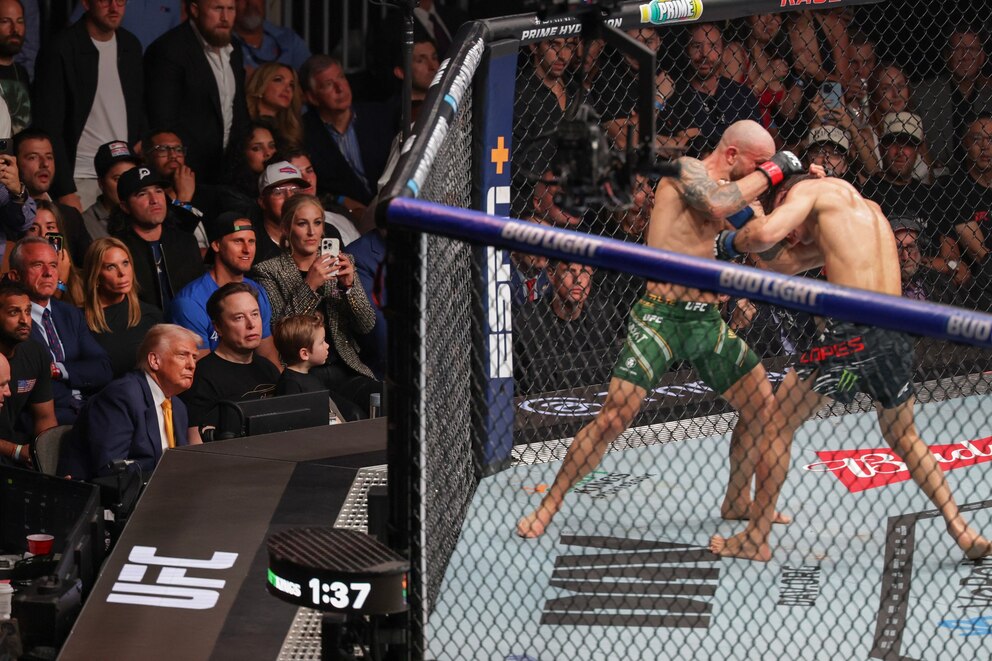 Trump proposes UFC fight on White House grounds for America250 ...