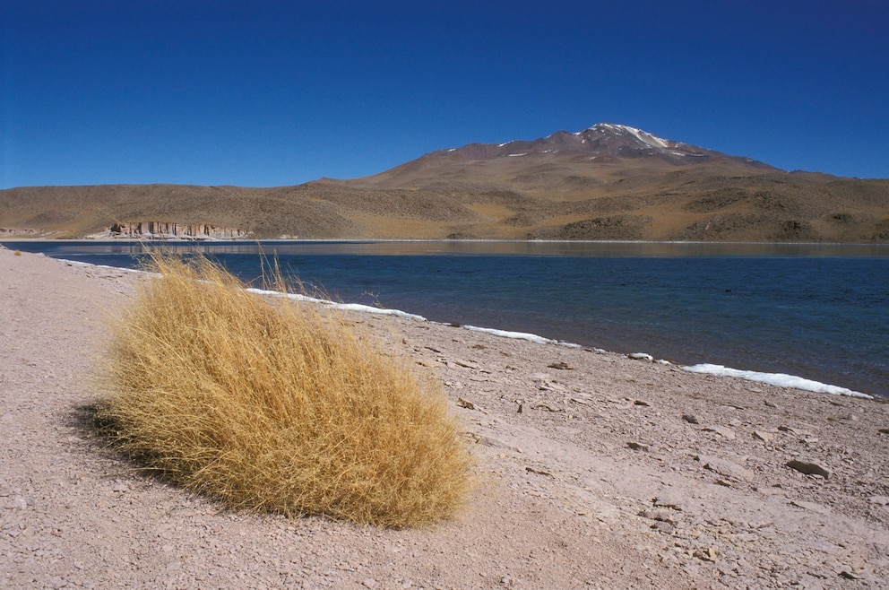 Scientists solve mystery of 'zombie' volcano displaying signs of ...