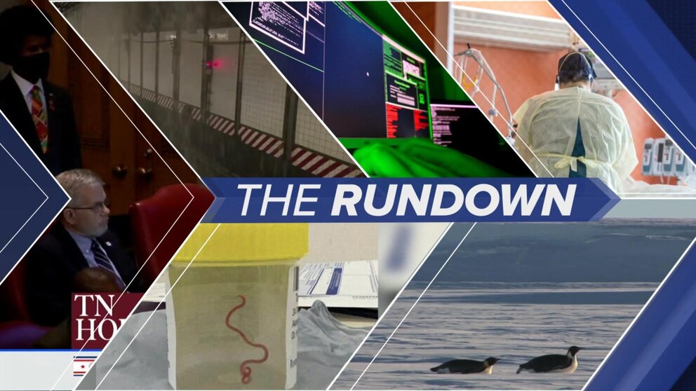 Video ABC News Live Rundown: Wednesday, August 30, 2023 - ABC News