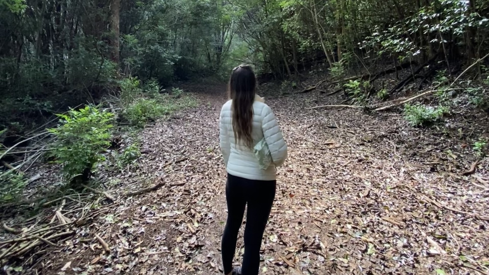 5 years after dramatic rescue, hiker reflects on being lost in Hawaii ...