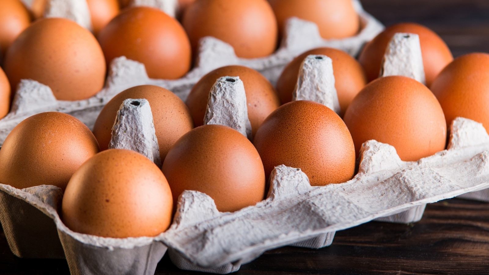 What experts want shoppers to know about egg prices amid new bird flu ...
