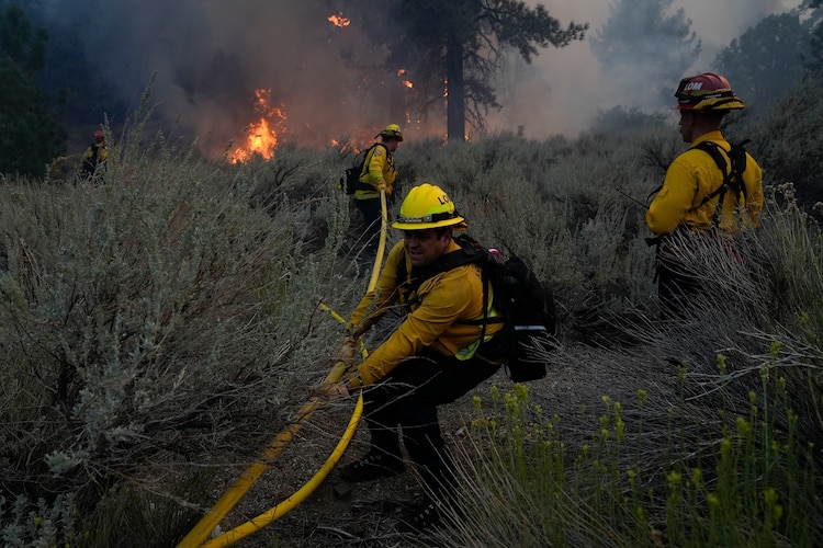 Firefighter Fighting Forest Fire