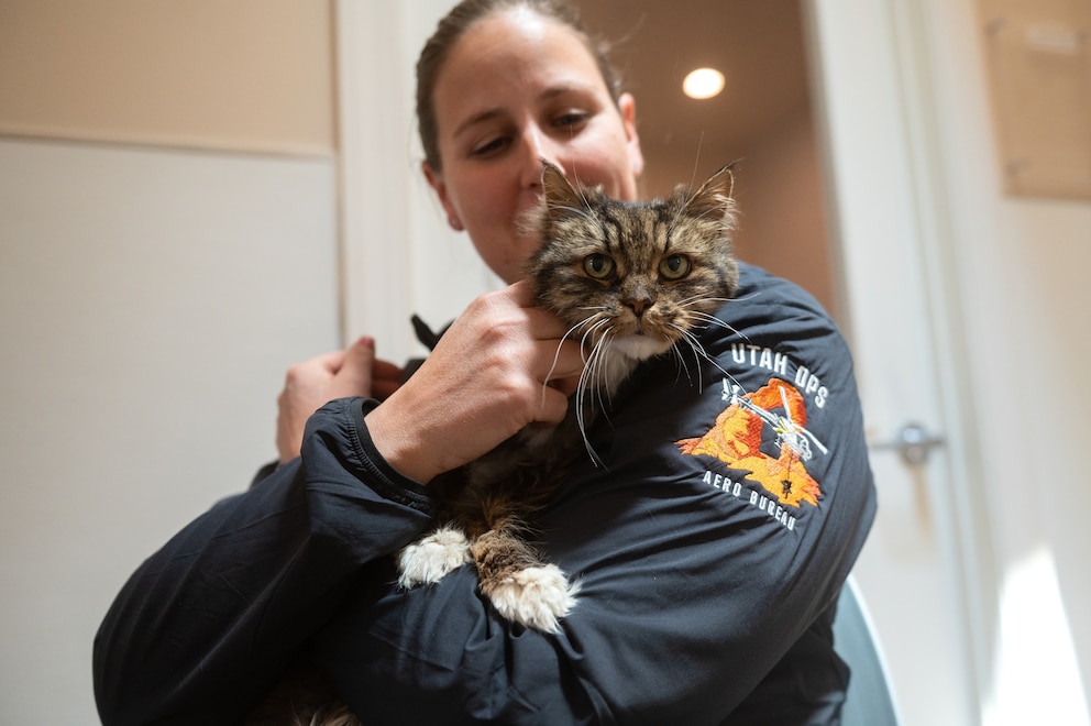 Cat who survived nearly 400-foot fall adopted by rescue pilot who saved ...