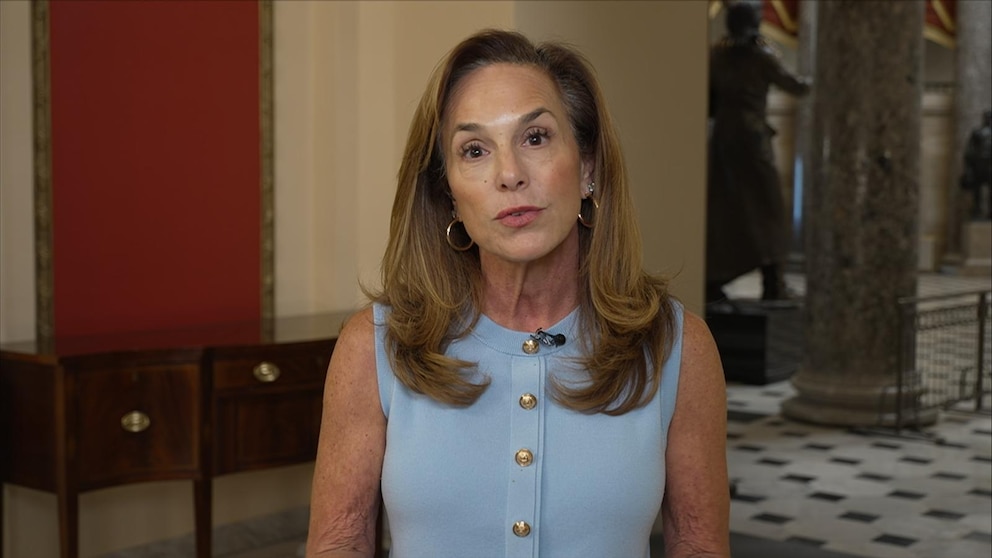 Video GOP Rep. McClain on funding battle - ABC News