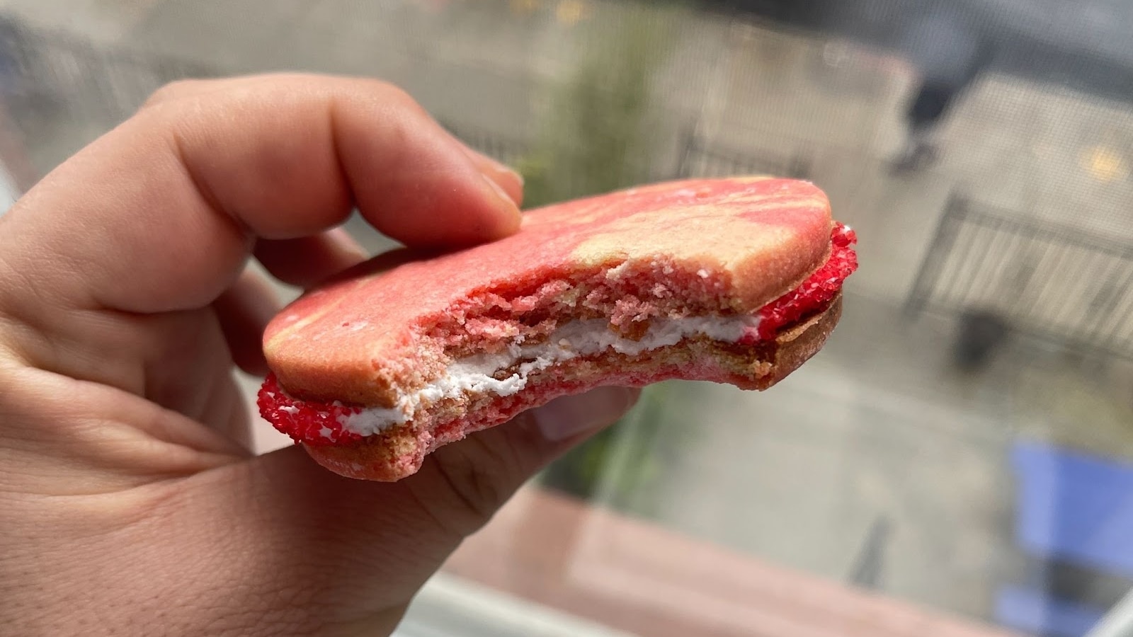 Dan 'Grossy' Pelosi shares easy sugar cut-out cookie recipe for ...