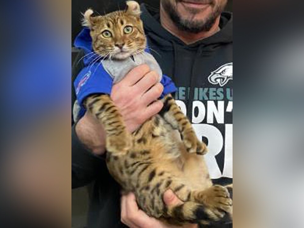 Southern California man charged for allegedly luring, kidnapping and ...