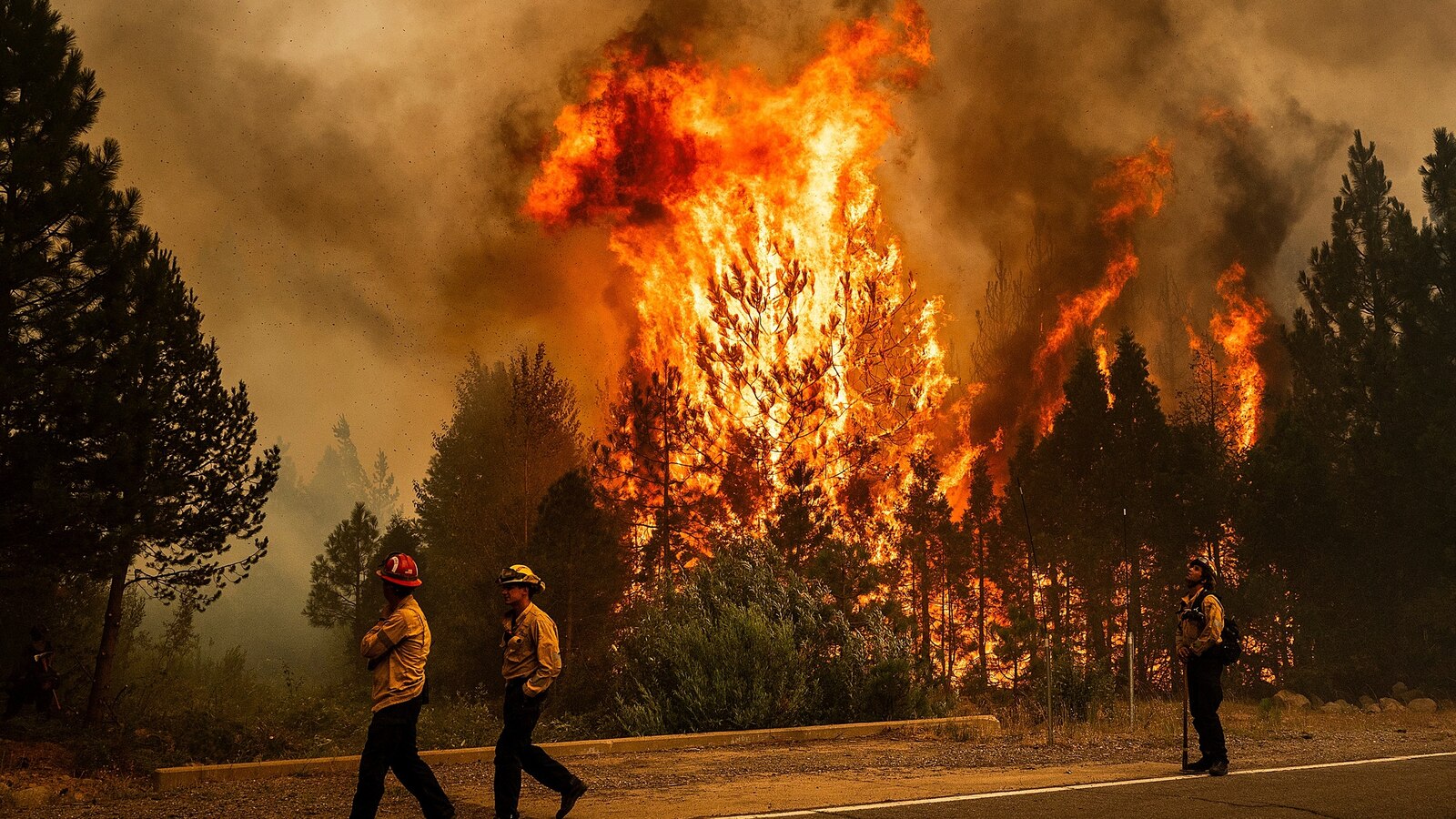 Artificial intelligence has 'revolutionized' modern firefighting: Here ...