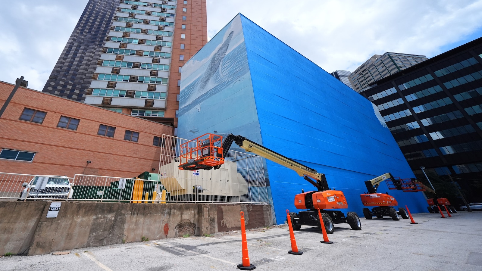 Artist suing FIFA over destruction of Dallas whale mural before World ...