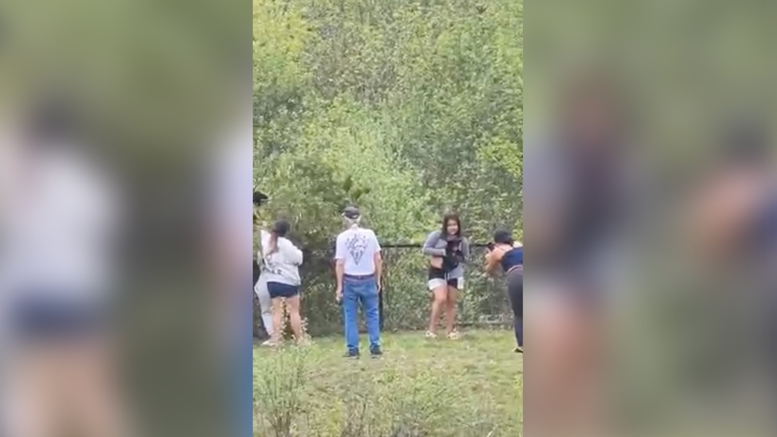 Bear cub recovering after being dropped by bystander who picked it up ...