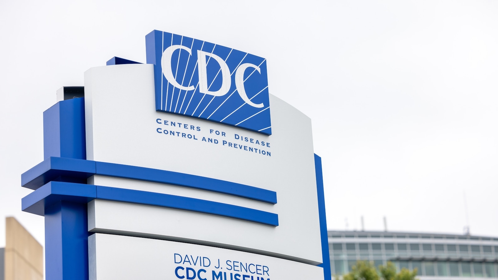 Human case of bird flu reported in Texas, CDC says risk to public is ...