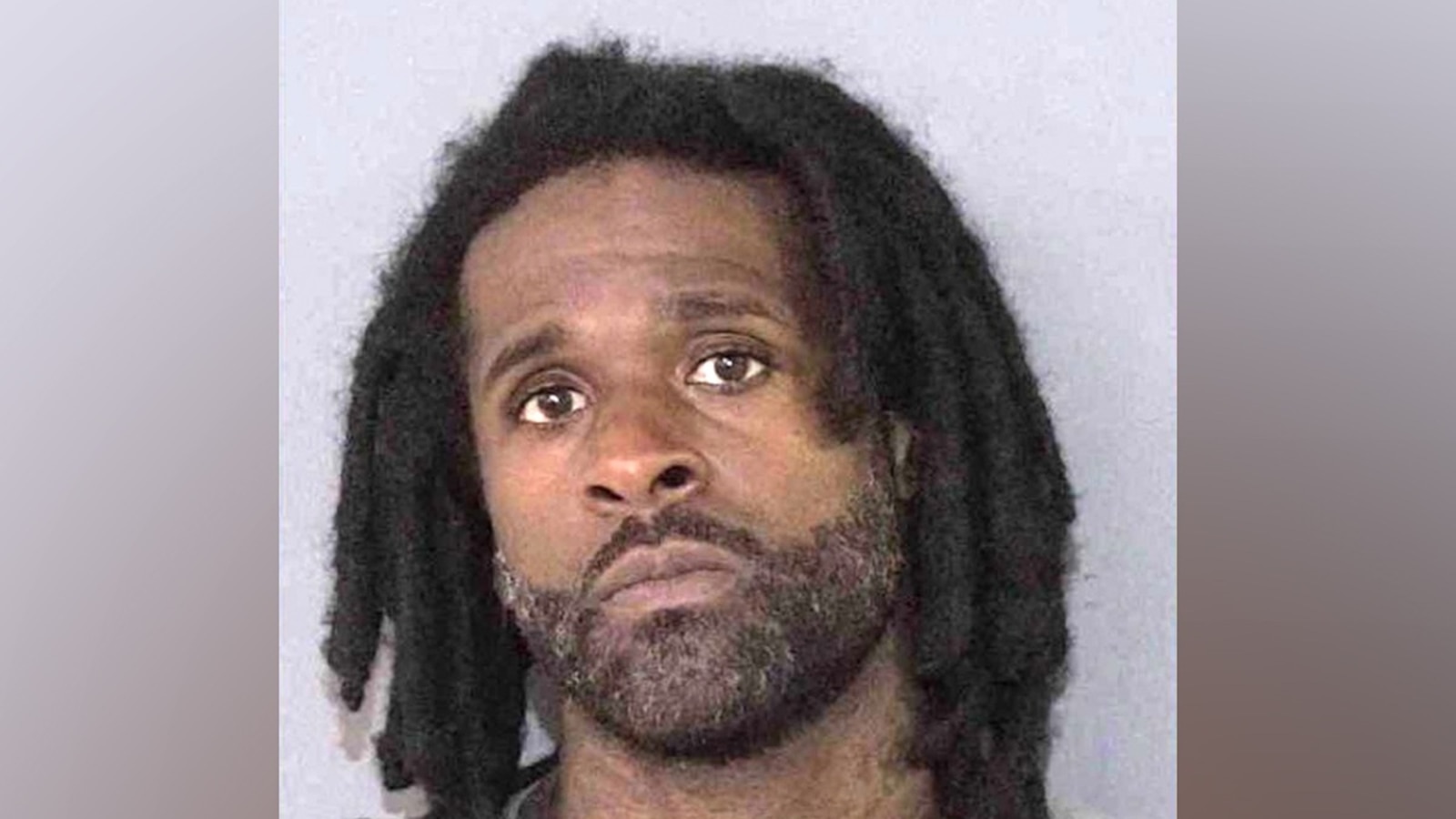 Landscaper arrested for throwing 'large, unauthorized' house party while homeowners were away ...