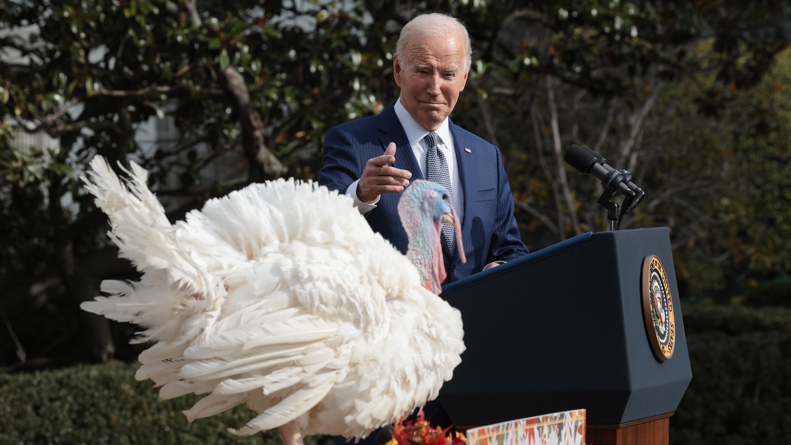 Turkeys Liberty and Bell escape 'fowl' fate with presidential pardon ...