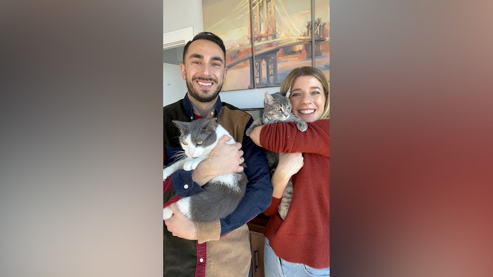 Newlyweds adopt cat who crashed wedding after venue assists in adoption ...