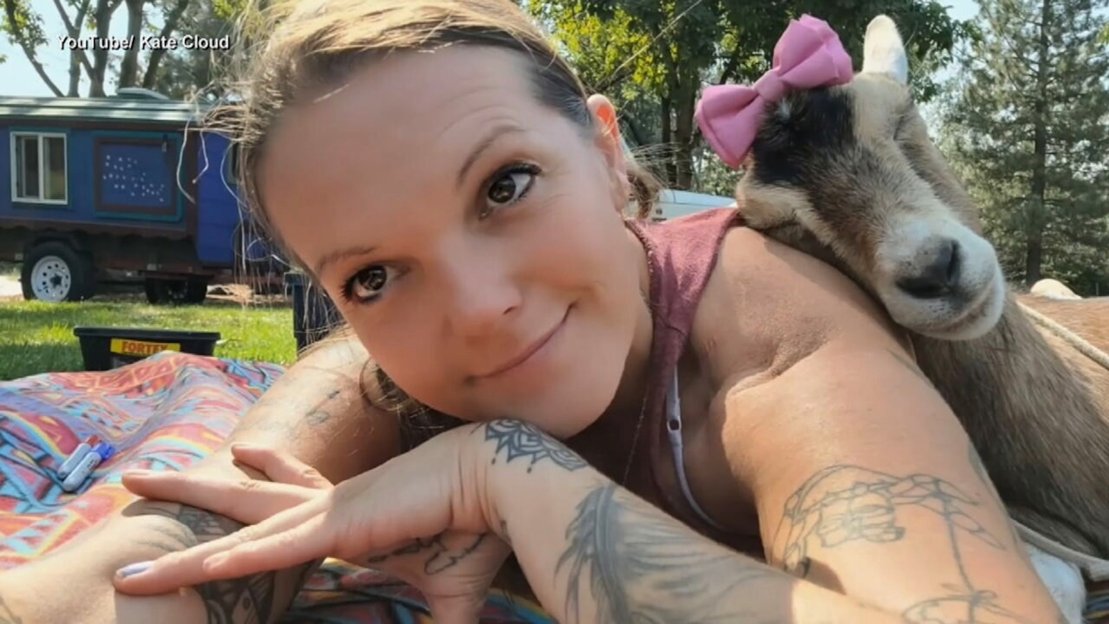 Meet Little Leaf, the adorable pygmy goat who has traveled to 41 states ...