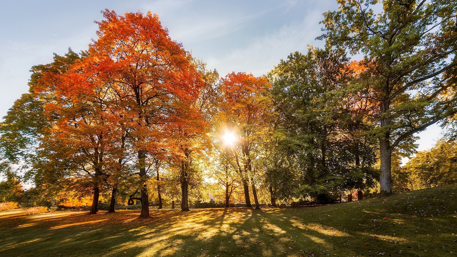 Sept. 22 is the autumnal equinox: What to know - ABC News