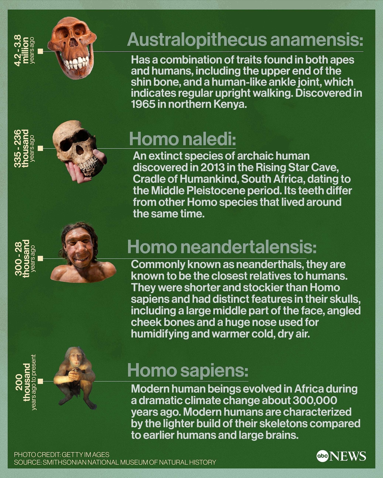 Early Humans Timeline Illustrated Timeline Of Early Humans | Timetoast