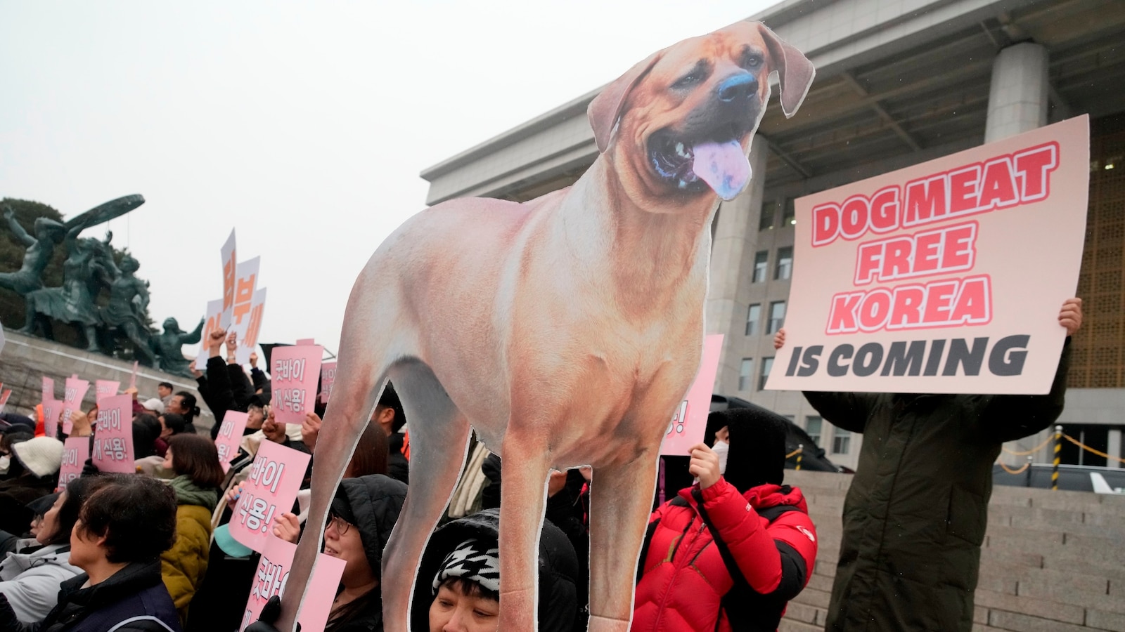 South Korean assembly bans dog meat trade, consumption - ABC News