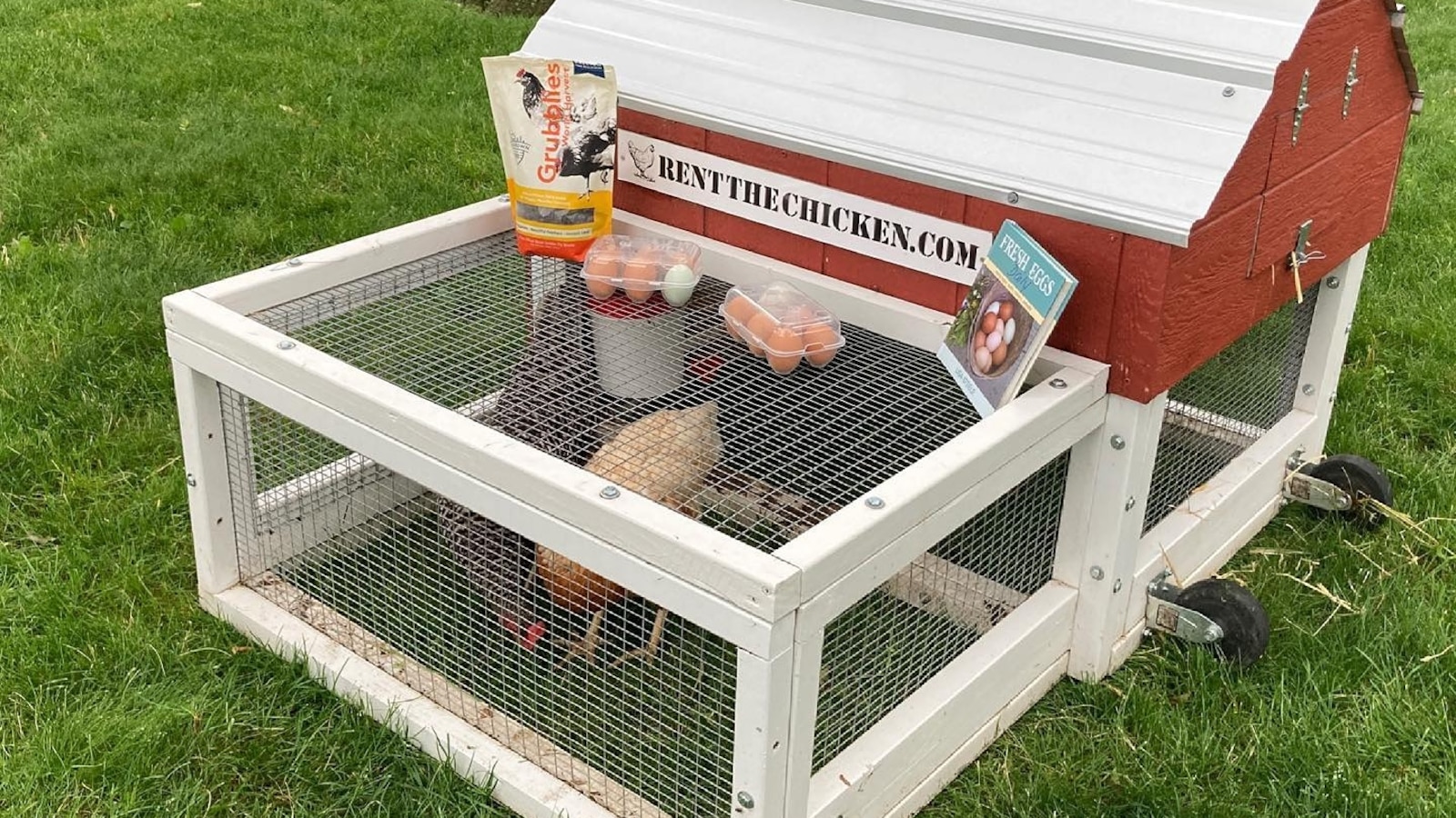 Prices of eggs in your area? | Page 5 | Debate Politics