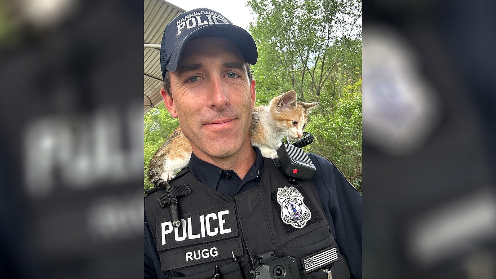 Police officer to adopt kitten who was thrown out of car window - ABC News
