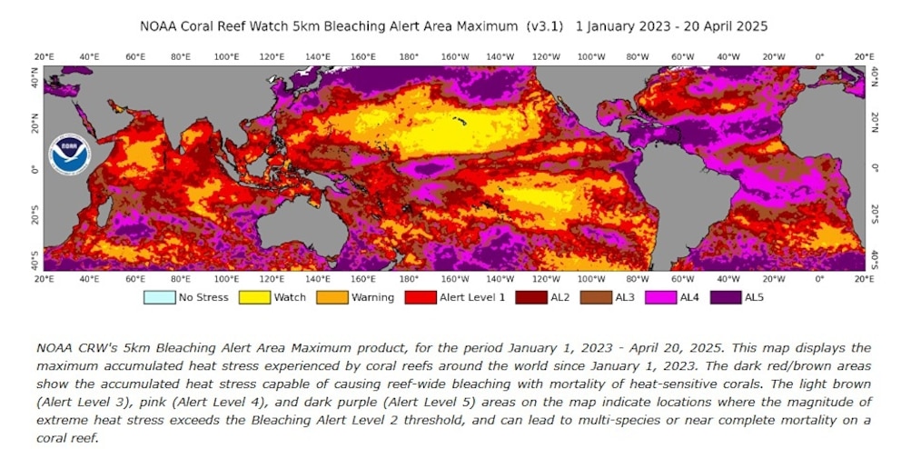 Largest coral bleaching event on record impacts 84% of world's reefs ...