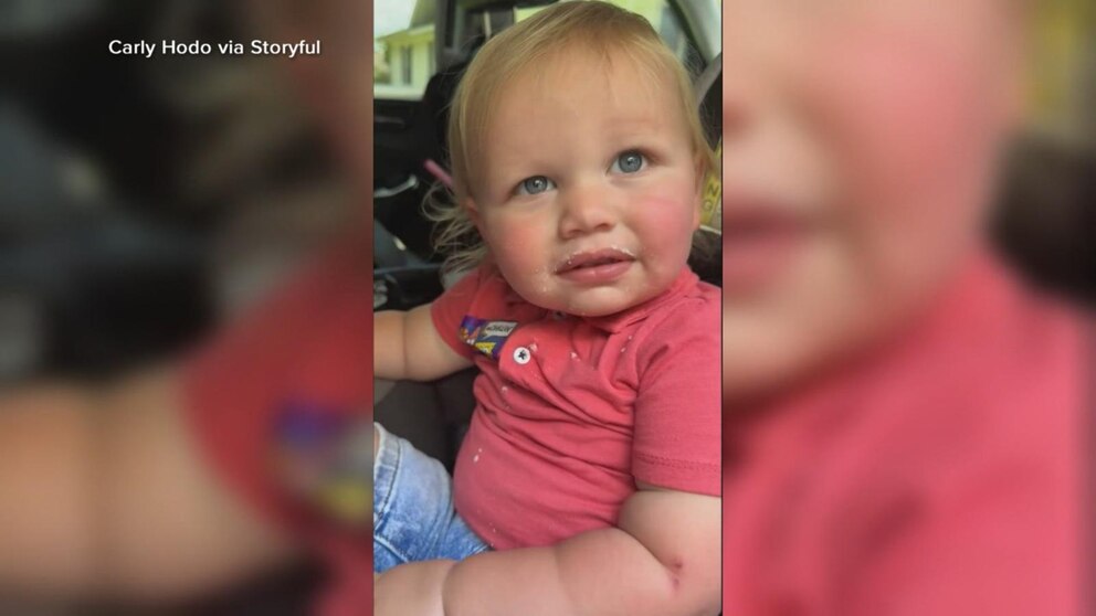 Video The not-so-sneaky donut stealer - ABC News