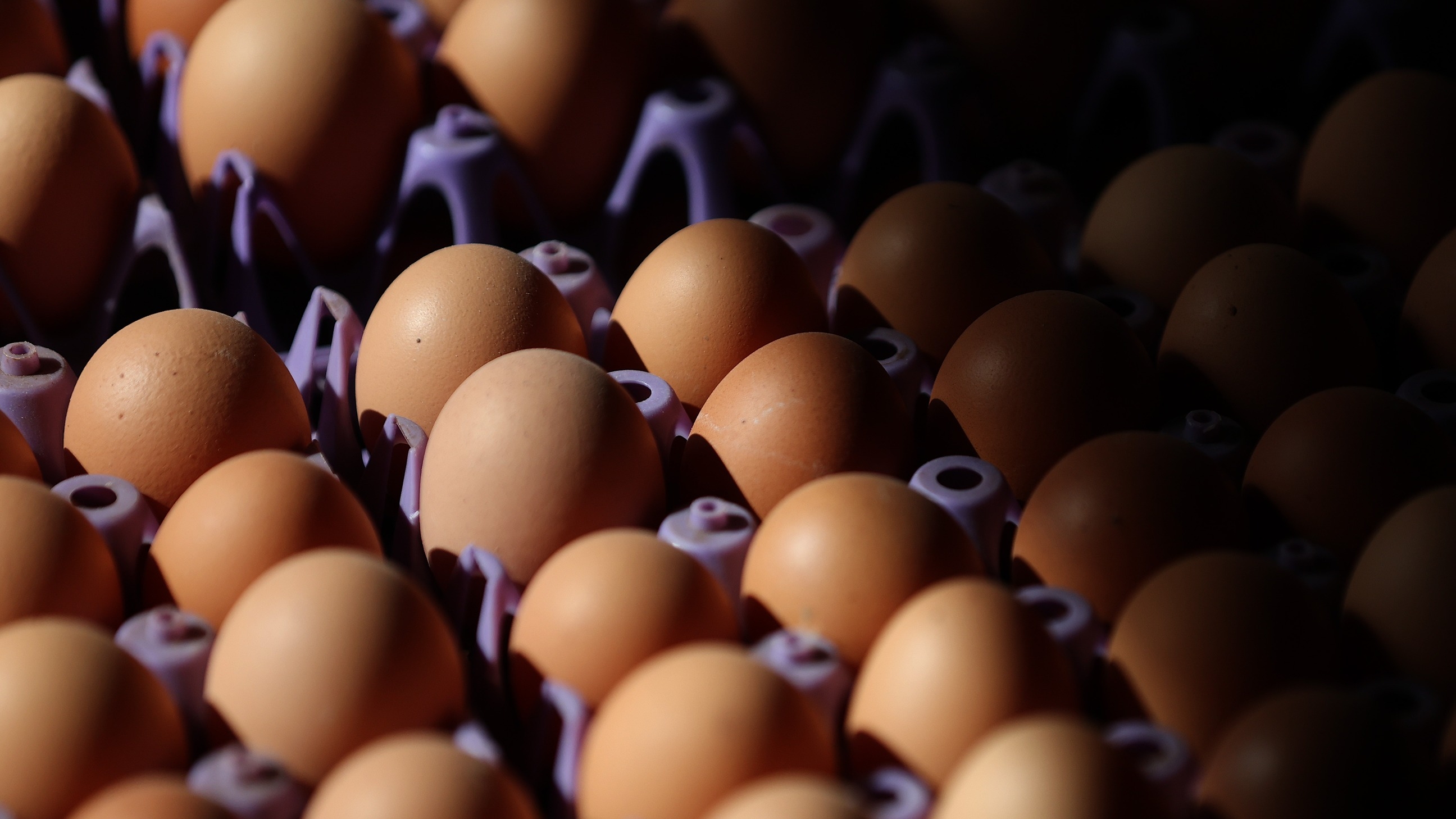 Egg Prices Predicted To Soar More Than 41 In 2025 USDA ABC News Egg Prices Predicted To Soar More Than 41 In 2025 USDA ABC News