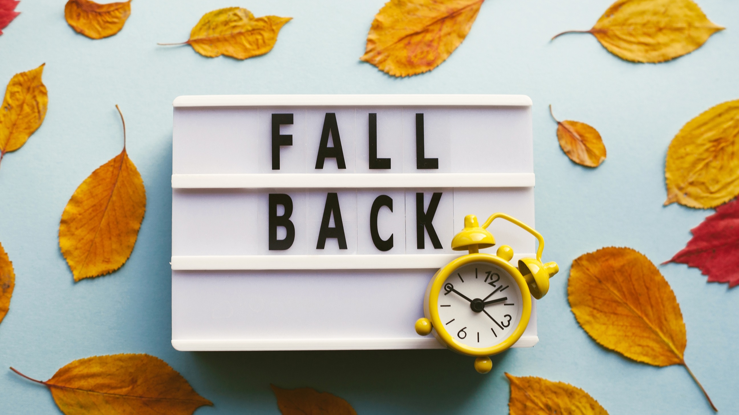 Daylight Saving Time 2024 Is Ending When Do We fall Back An Hour Daylight Saving Time 2024 Is Ending When Do We fall Back An Hour