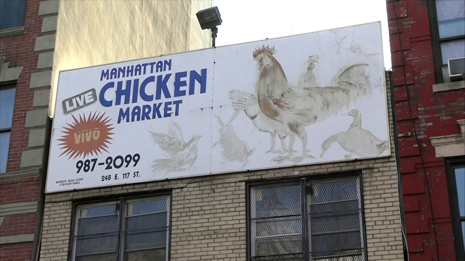 New York shuts down live poultry markets after bird flu detected - ABC News
