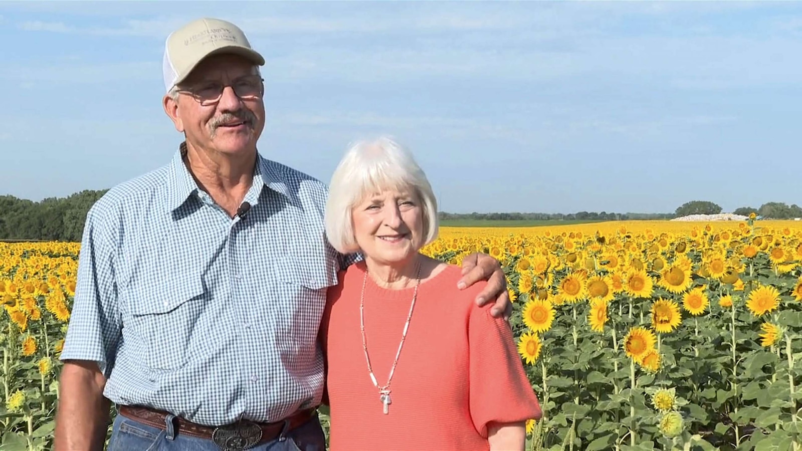 Farmer surprises wife with 80 acres of sunflowers for 50th wedding ...