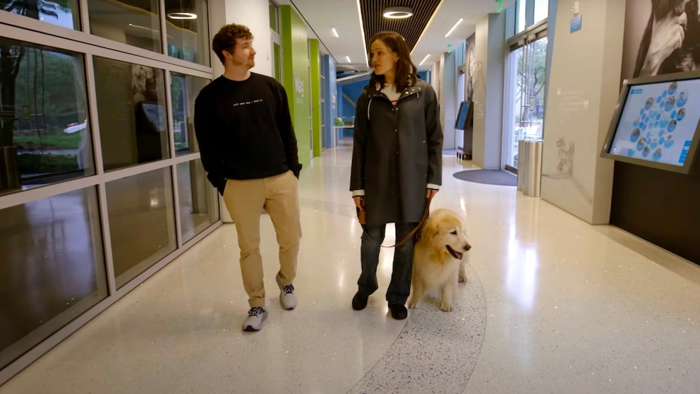 Jennifer Garner says her pup Birdie wants to be a therapy dog at ...