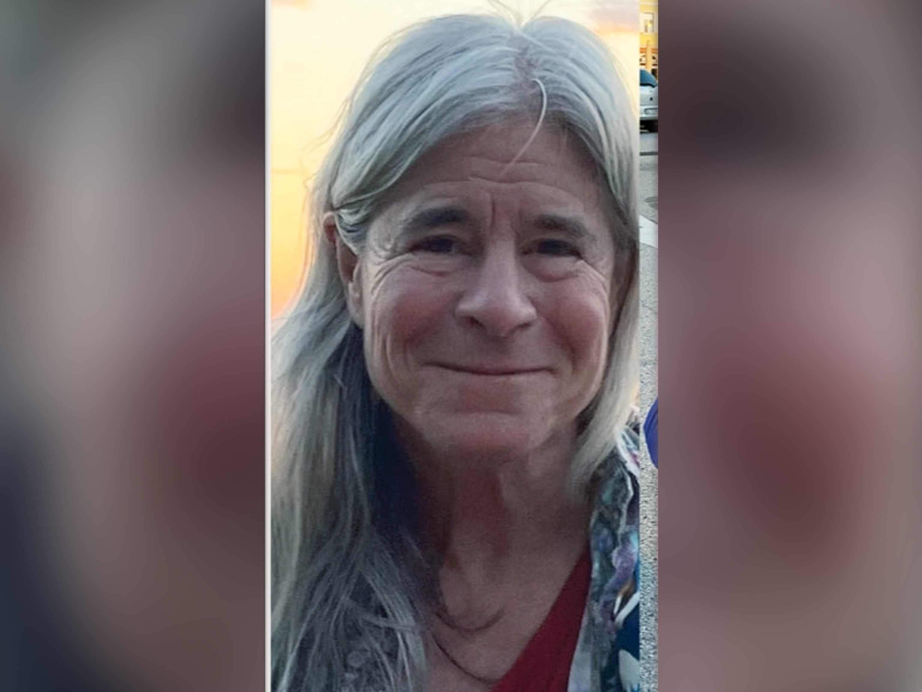 Northwestern University professor found, transported to hospital after reported missing: Police ...