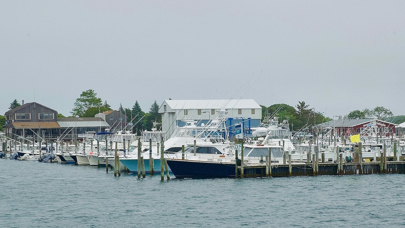 Body found in Montauk identified as 33-year-old woman, no evidence of violence: Police - ABC News