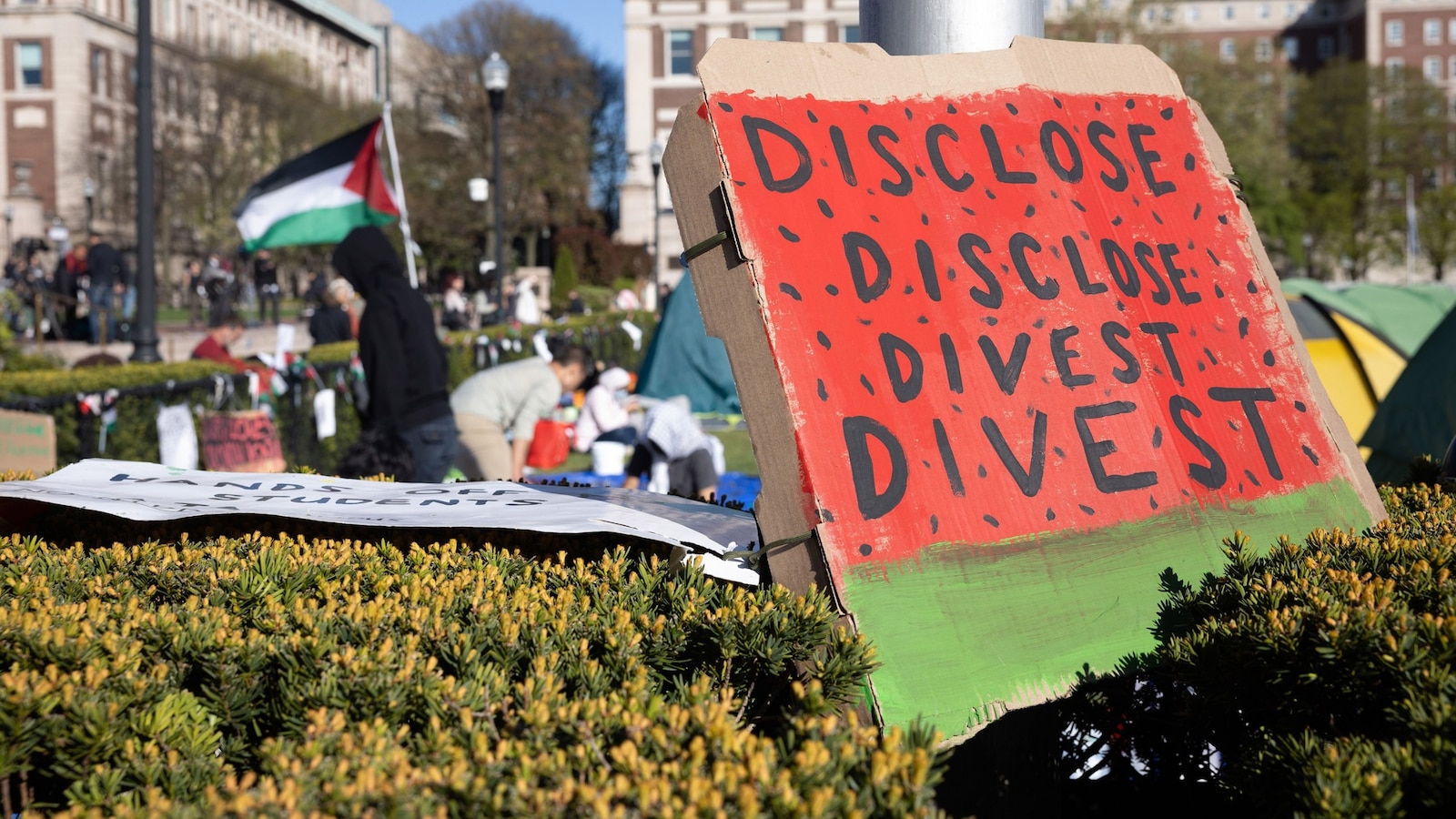Campus protesters are demanding universities divest from Israel. Here's ...