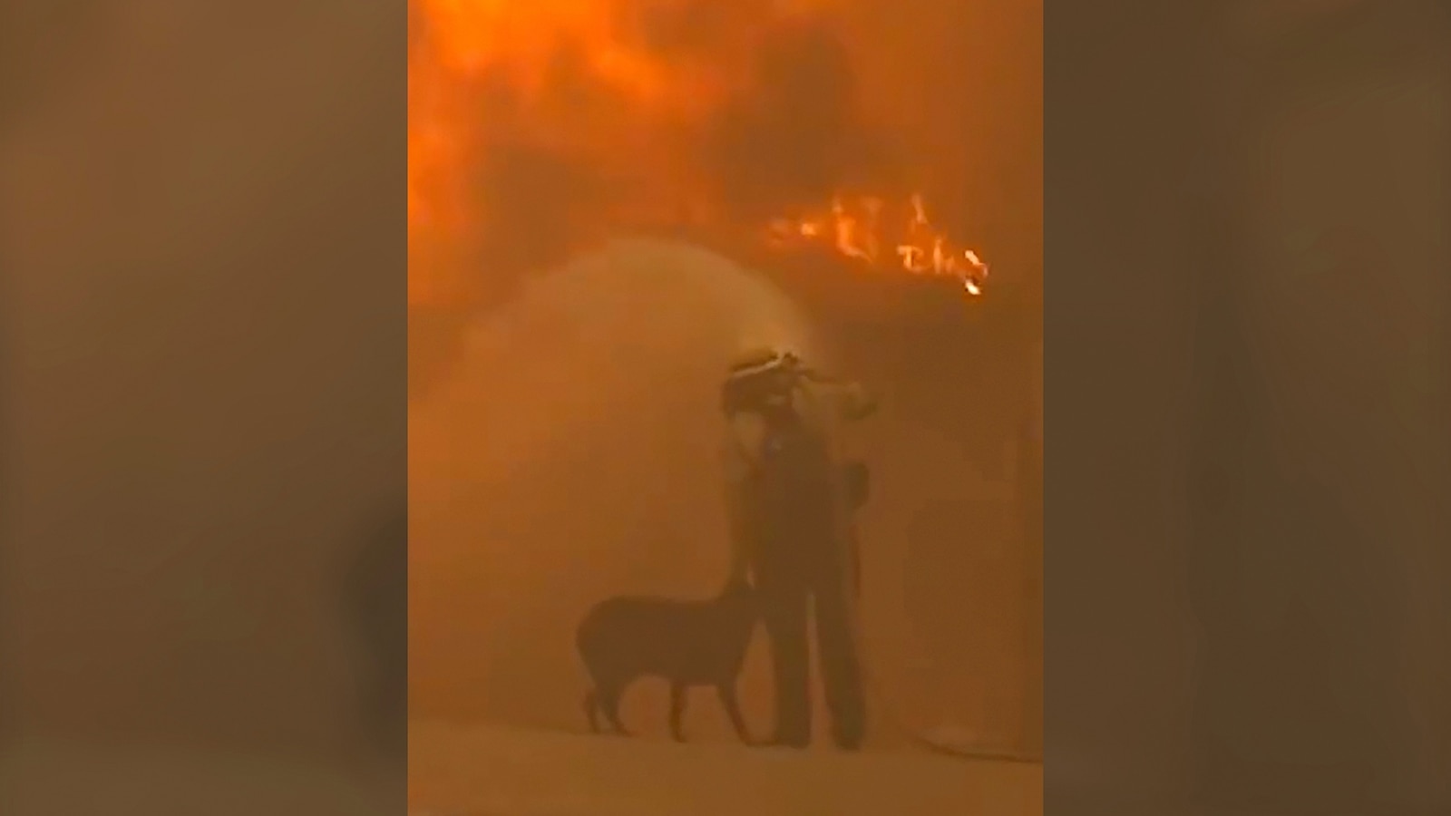 Firefighter helps rescue dog while battling Eaton Fire: 'I need to find ...
