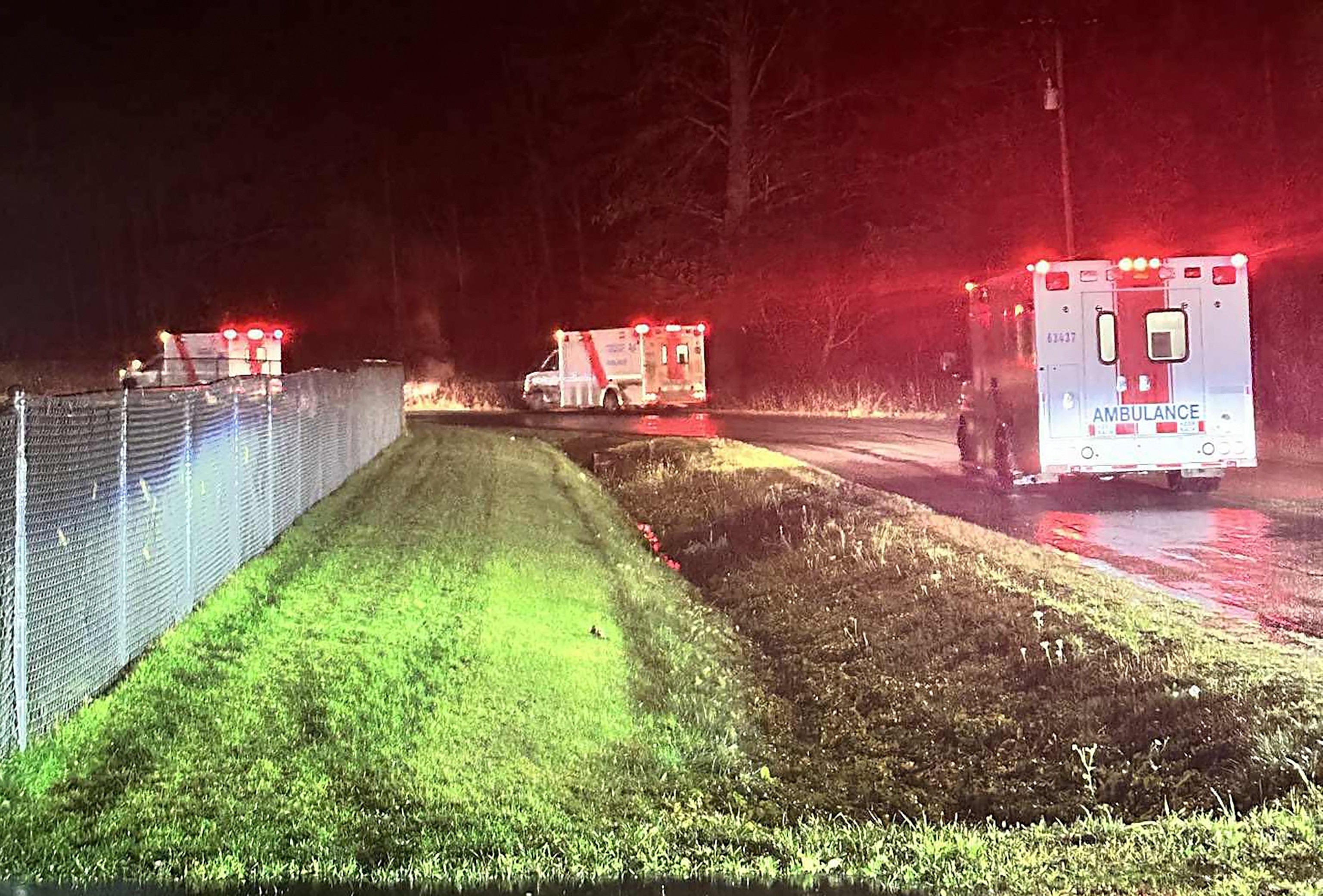 Grizzly bear attacks school group in Canada's British Columbia province ...