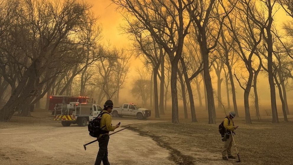 Devastating Texas Wildfires Spark Disaster Declaration Nuclear Plant