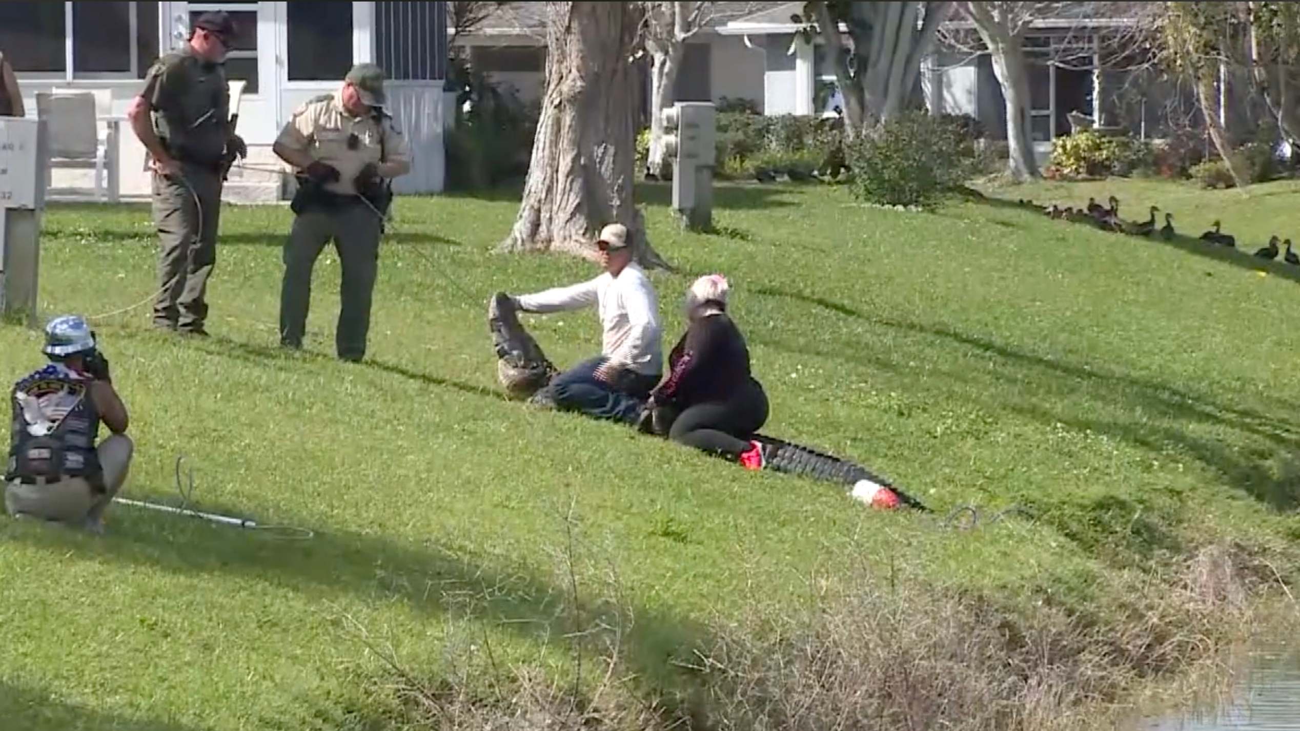 85 year old Woman Killed By Alligator In Florida ABC News 85 year old Woman Killed By Alligator In Florida ABC News