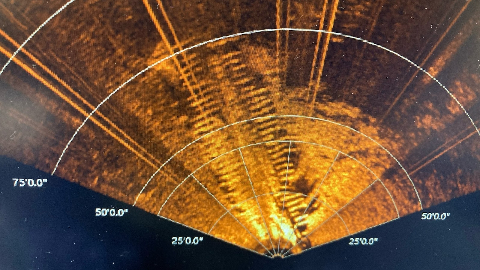 Family on fishing trip thought their sonar detected an octopus. It was ...