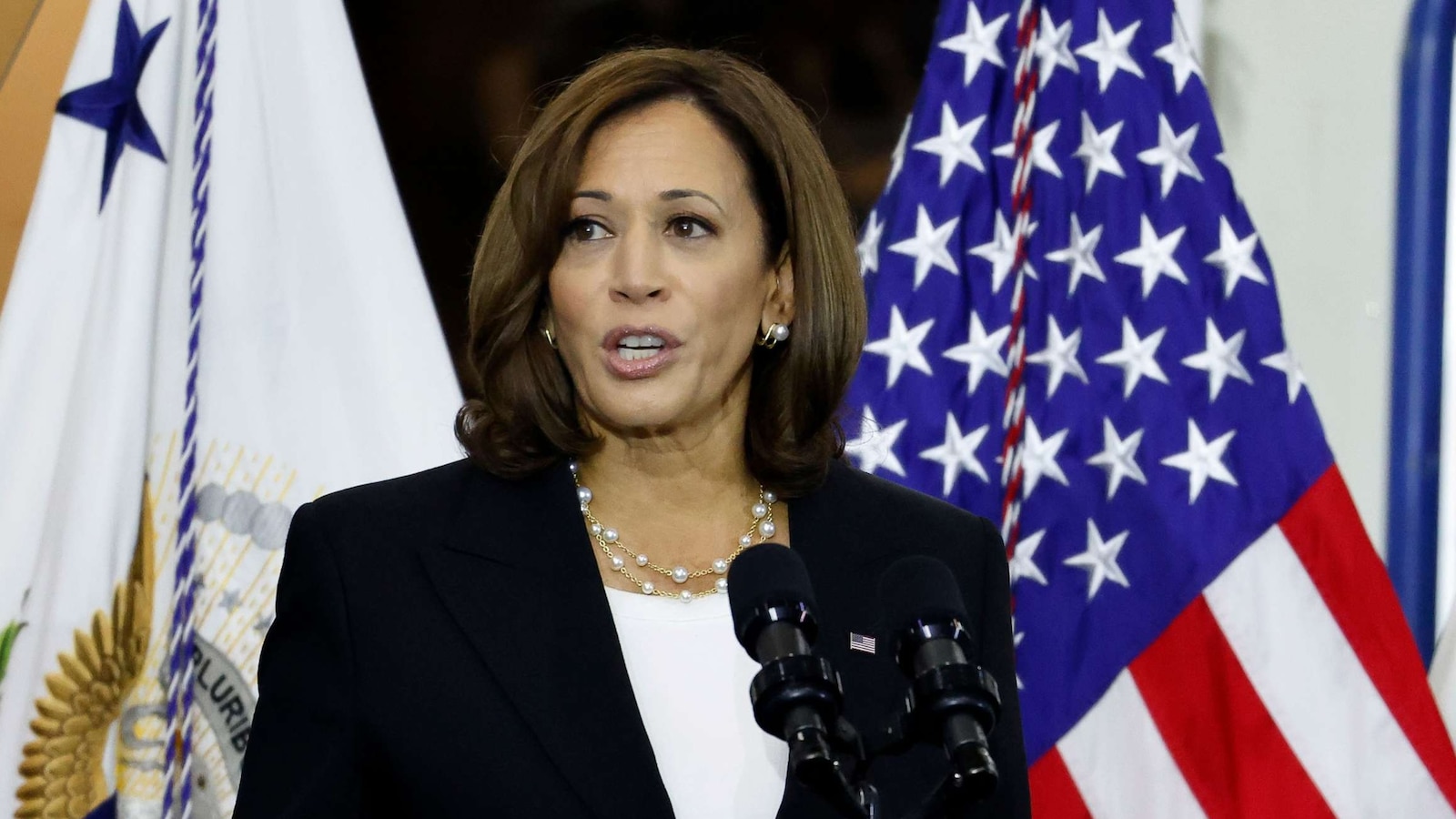 Harris tells Democrats 'stakes could not be higher' as the midterms ...