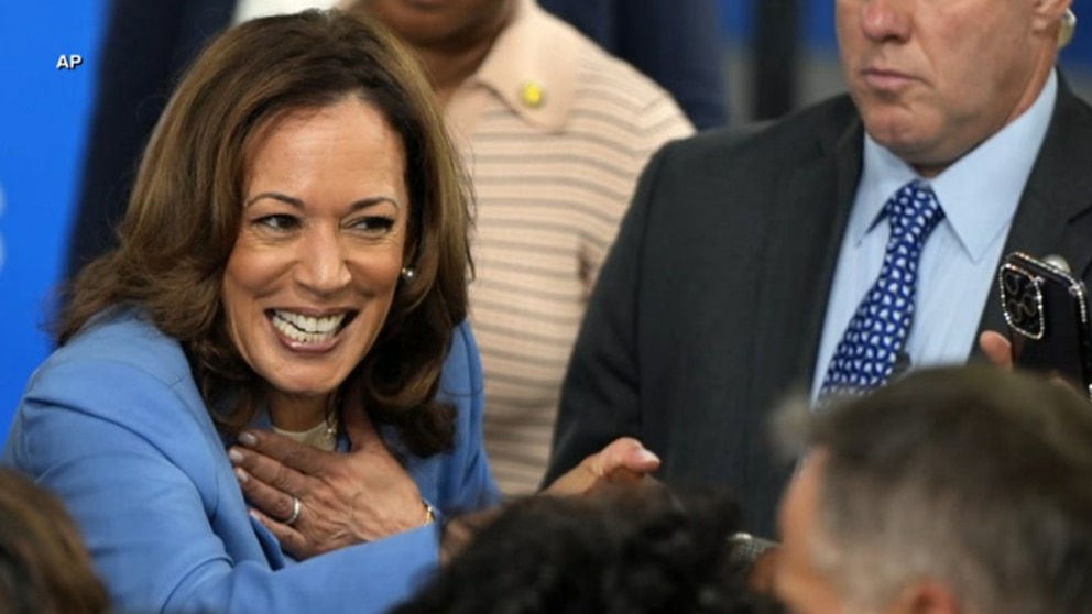 Video Deep dive into Vice President Harris' coalition - ABC News