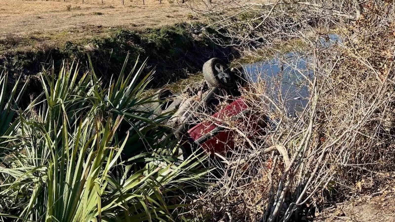 Good Samaritan rescues mother and 3 kids from submerged car in incident ...