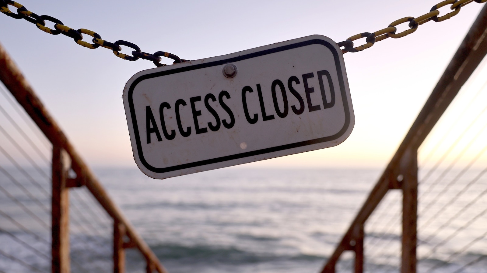 Hisashi ouchi real photo i recommend Daphne, particularly