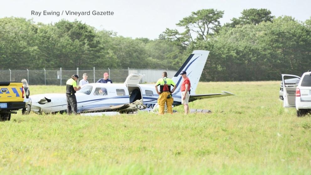 Video Passenger crash-lands plane after pilot suffers emergency - ABC News